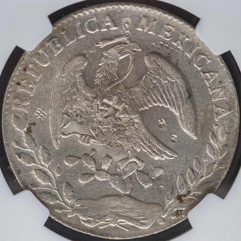 1879/7-GO|SM Mexico 8 Reales NGC Chopmarked - CV Coins & Collectables